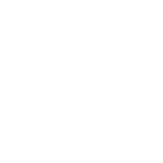 Zing Branding Media Kit – Zing