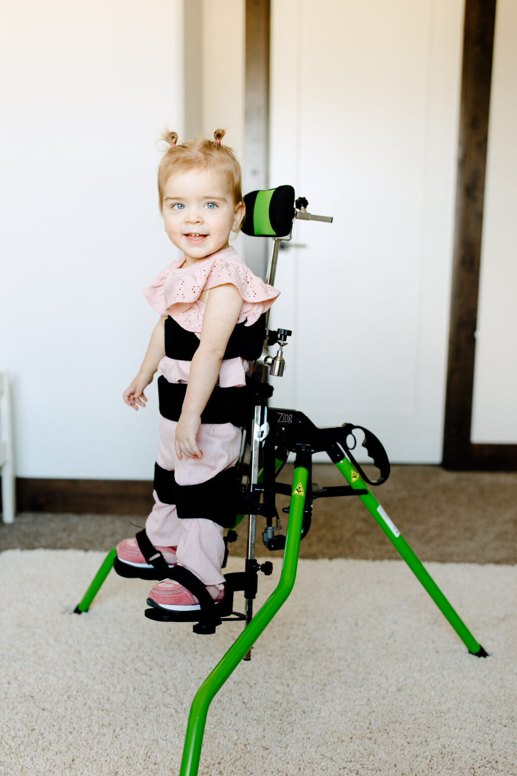 Zing Portable - Zing